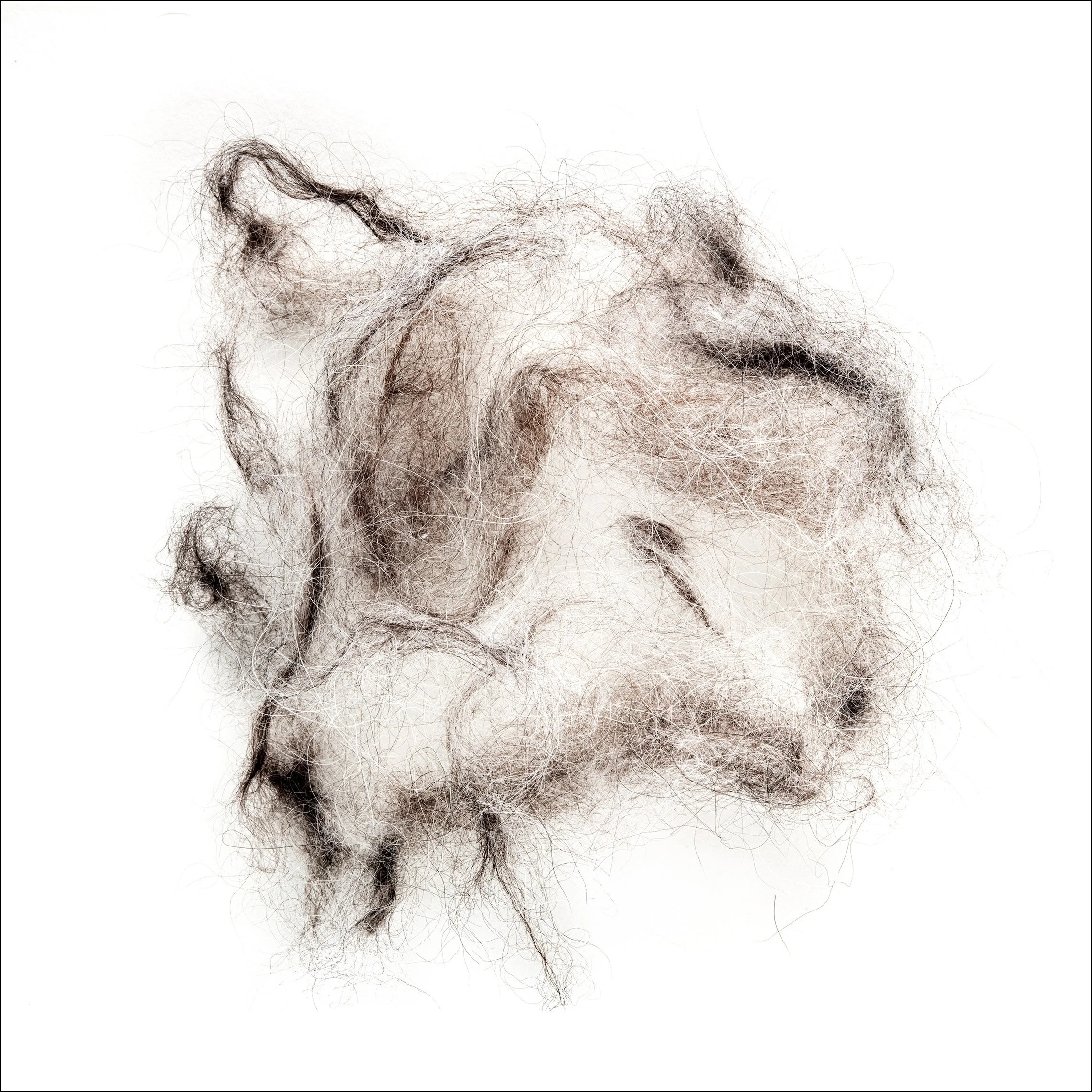 Tundra's Fur Series 6: Fur and Skeins — Chantal Gervais