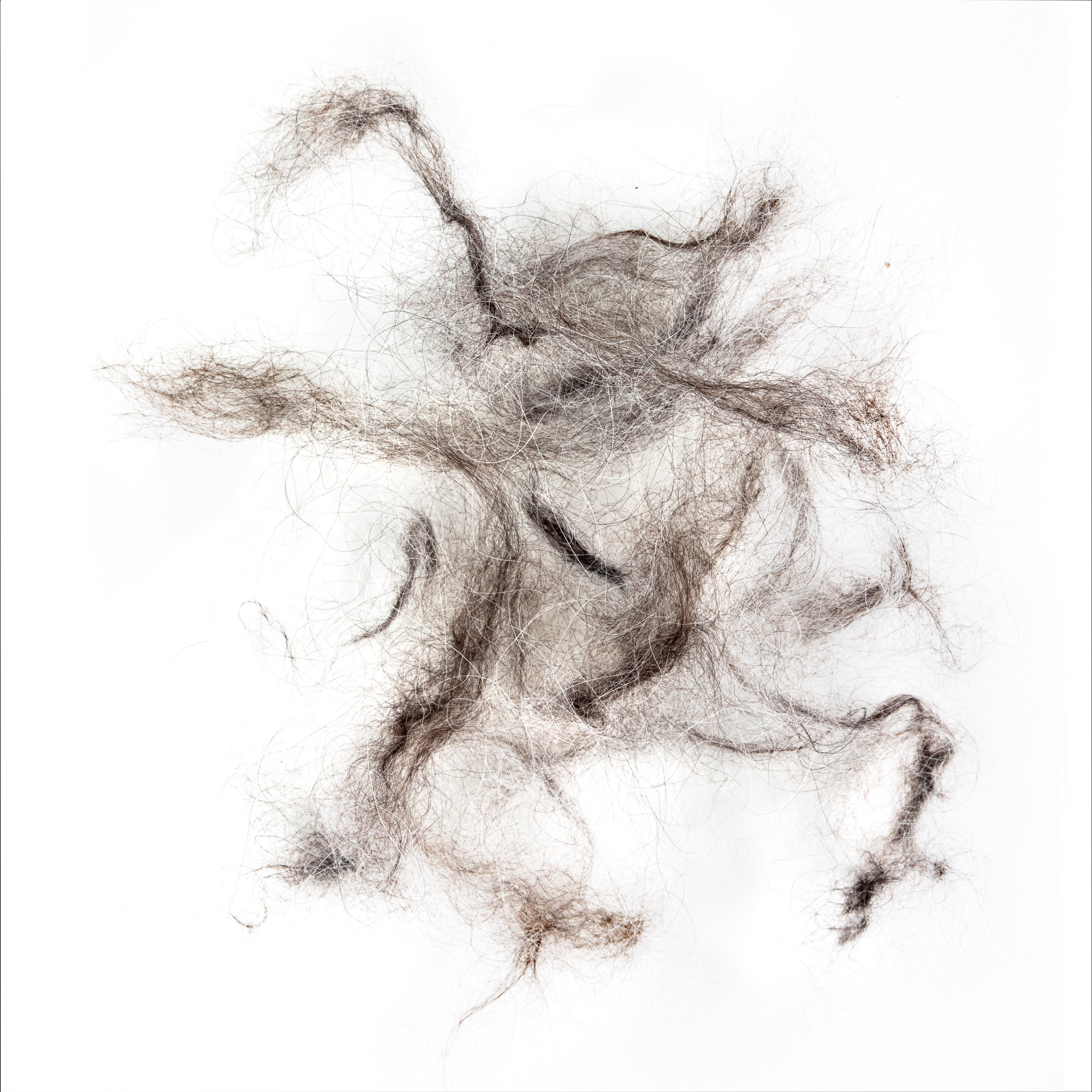 Tundra's Fur Series 6: Fur and Skeins — Chantal Gervais