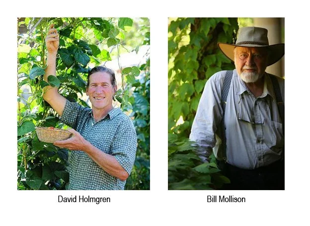 About Permaculture — Permaculture Yarra Valley