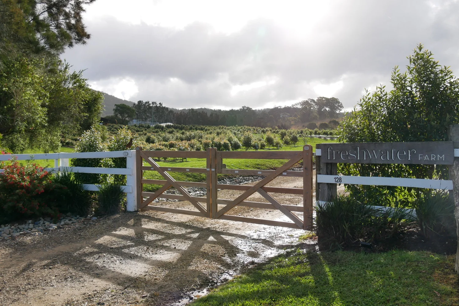 Natural Body Care from Australia | Freshwater Farm USA