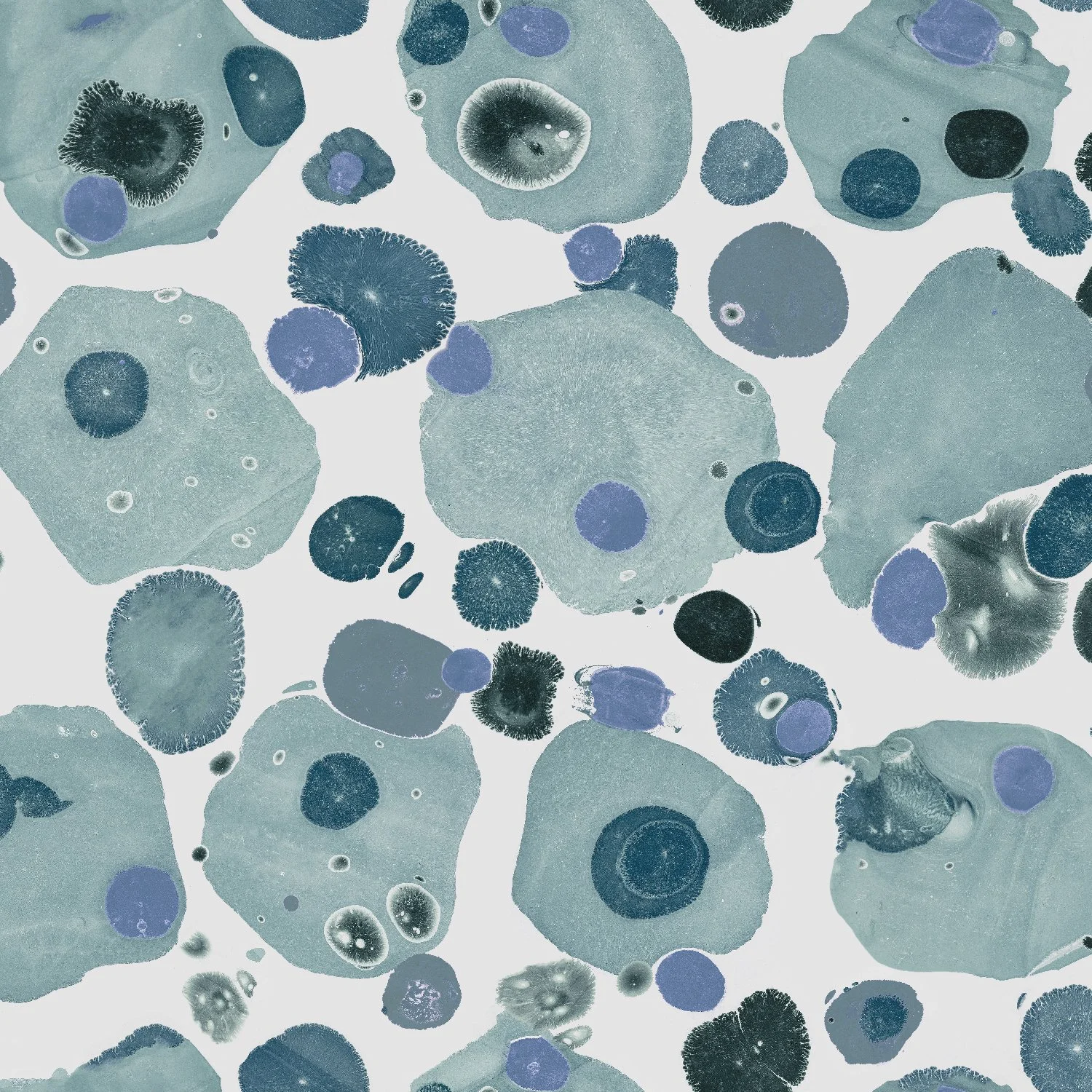 Cat Alexander Design Studio | Crafted Wallcovering Designs