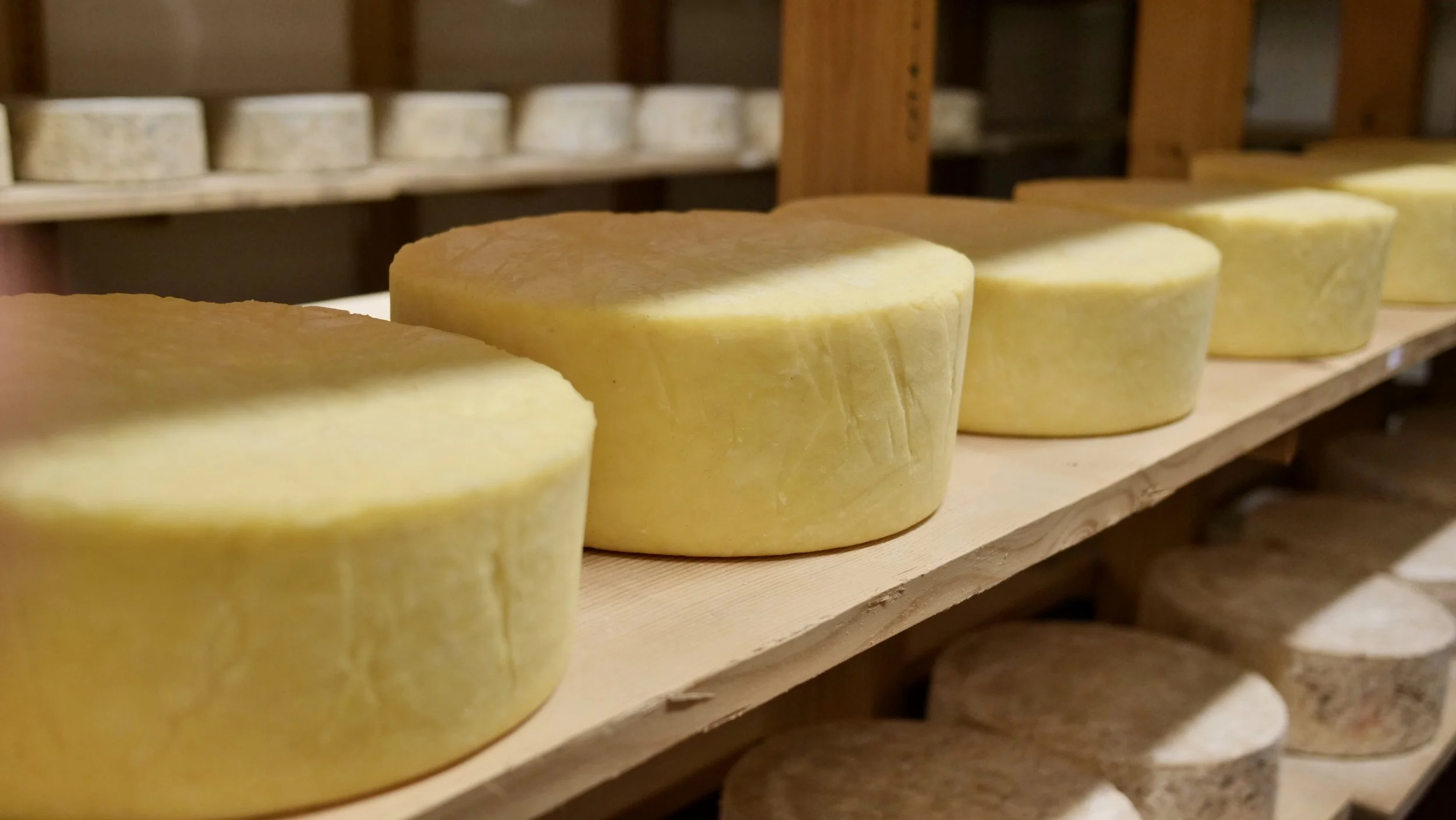 About — Monkland Cheesemakers | Handcrafted Herefordshire Cheese ...