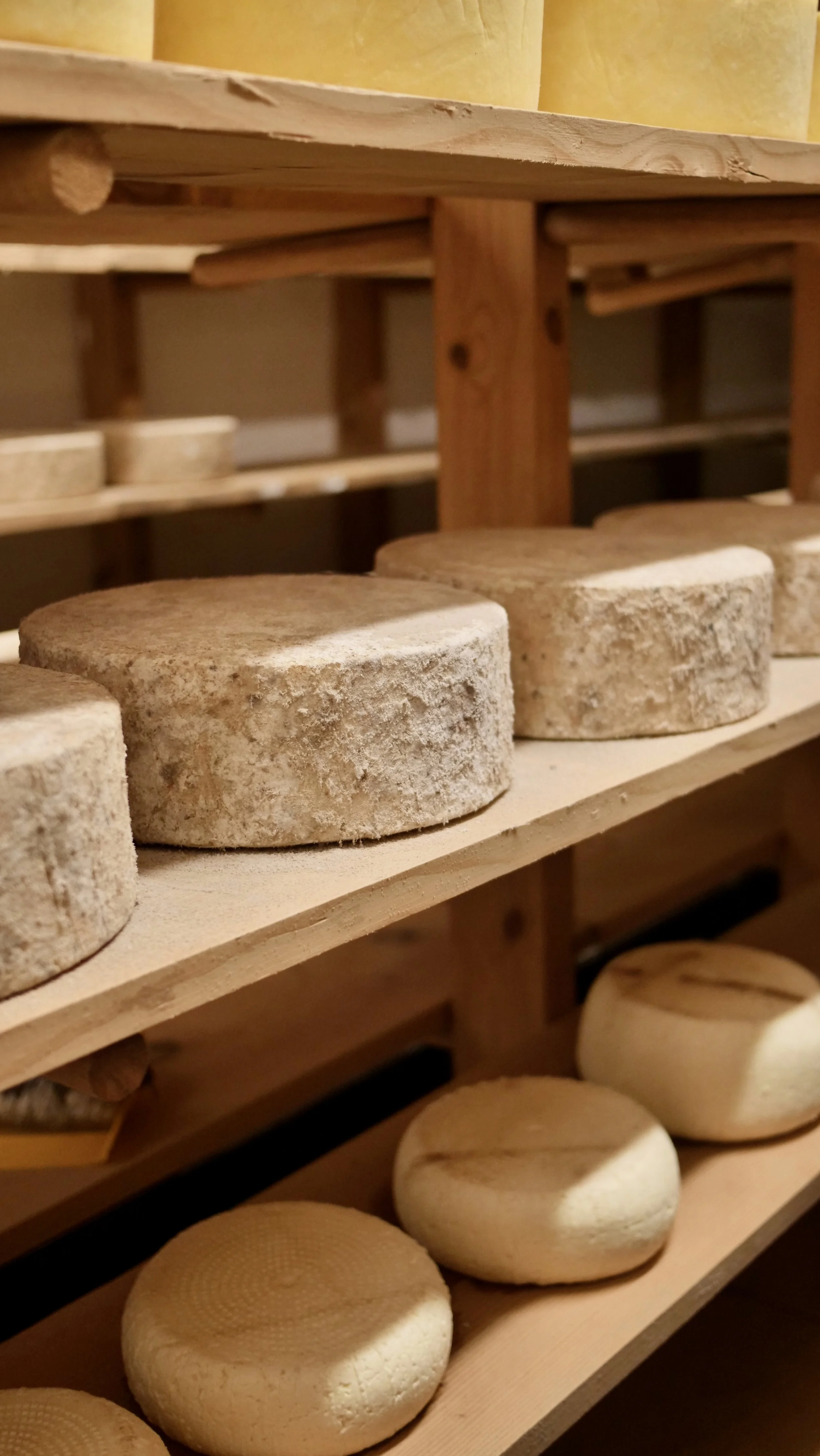 Gallery — Monkland Cheesemakers | Handcrafted Herefordshire Cheese ...