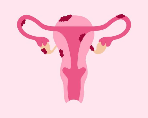 Agenda | Discover Fertility Insights — Join Us — Future Fertility Show