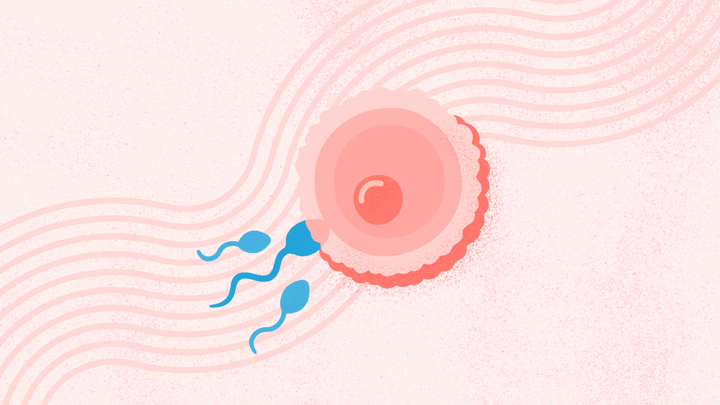 Agenda | Discover Fertility Insights — Join Us — Future Fertility Show