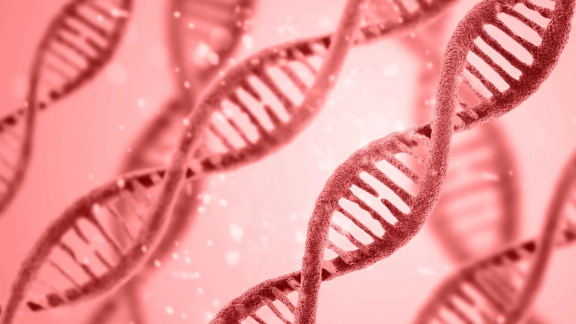 Agenda | Discover Fertility Insights — Join Us — Future Fertility Show