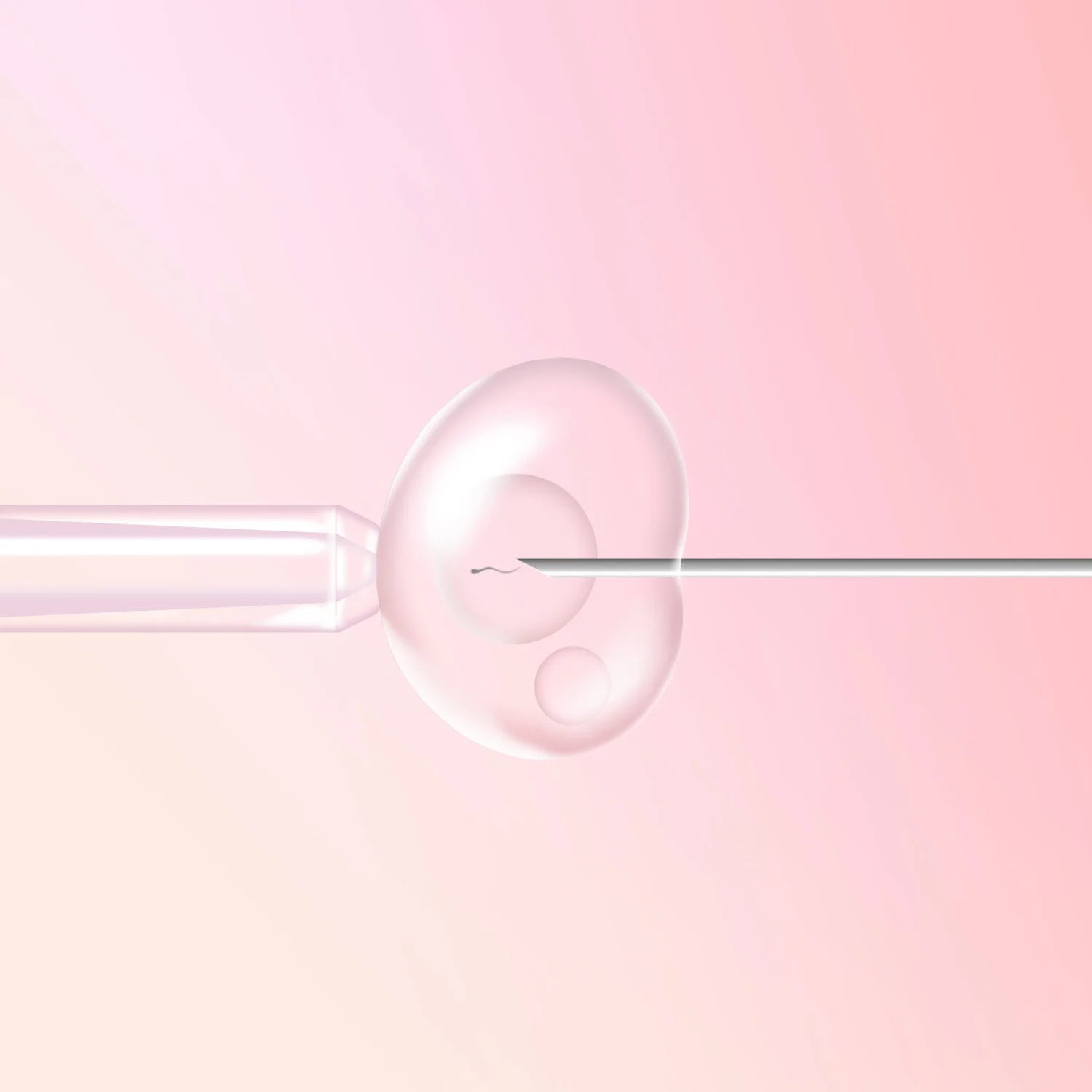 Agenda — Future Fertility Show
