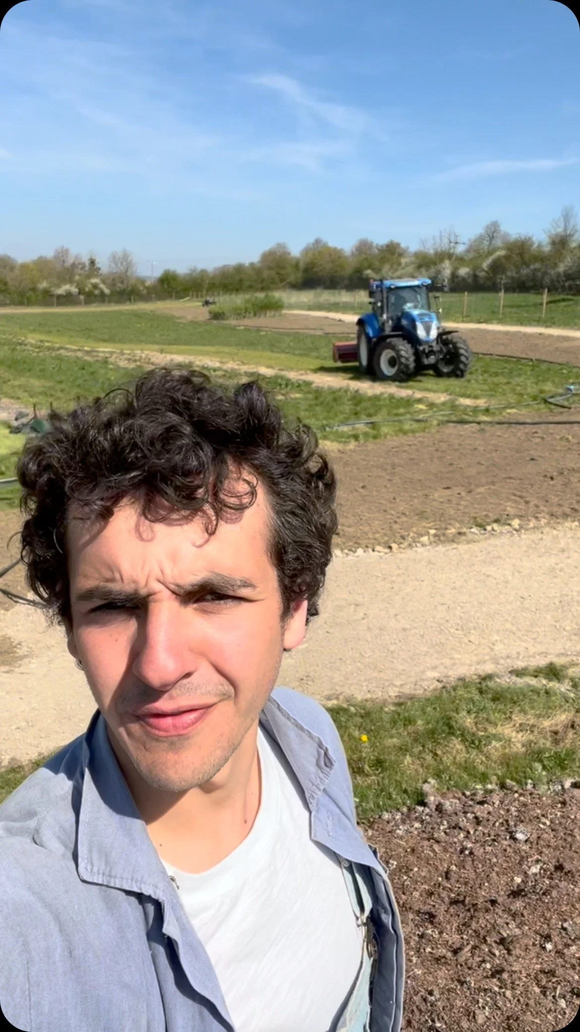 Higher Farm | Regenerative Farm and Restaurant in Somerset