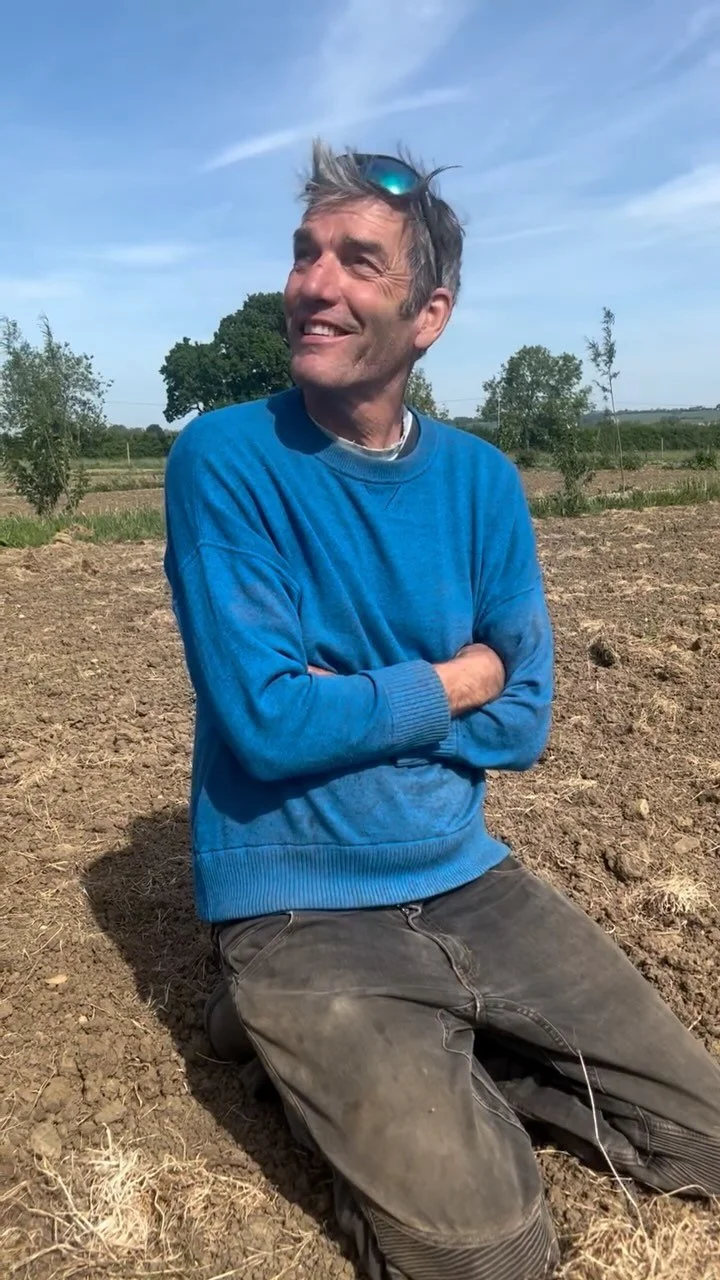 Higher Farm | Regenerative Farm and Restaurant in Somerset