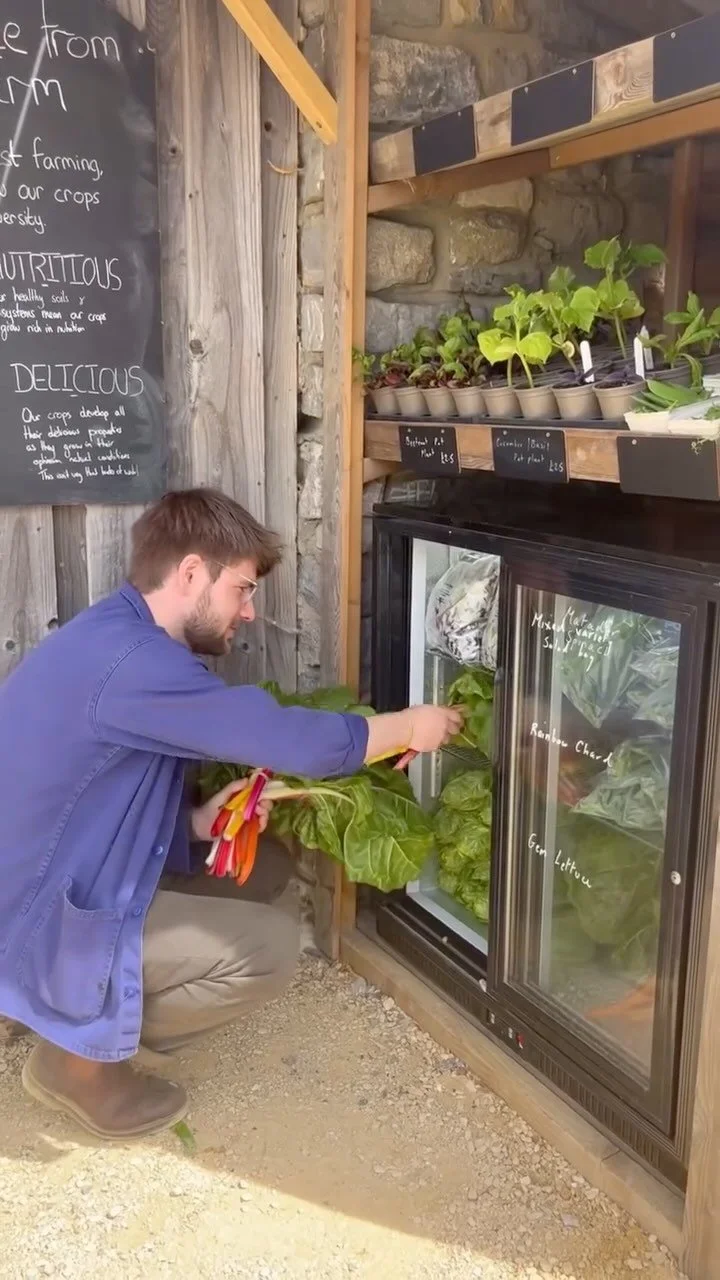 Higher Farm | Regenerative Farm and Restaurant in Somerset