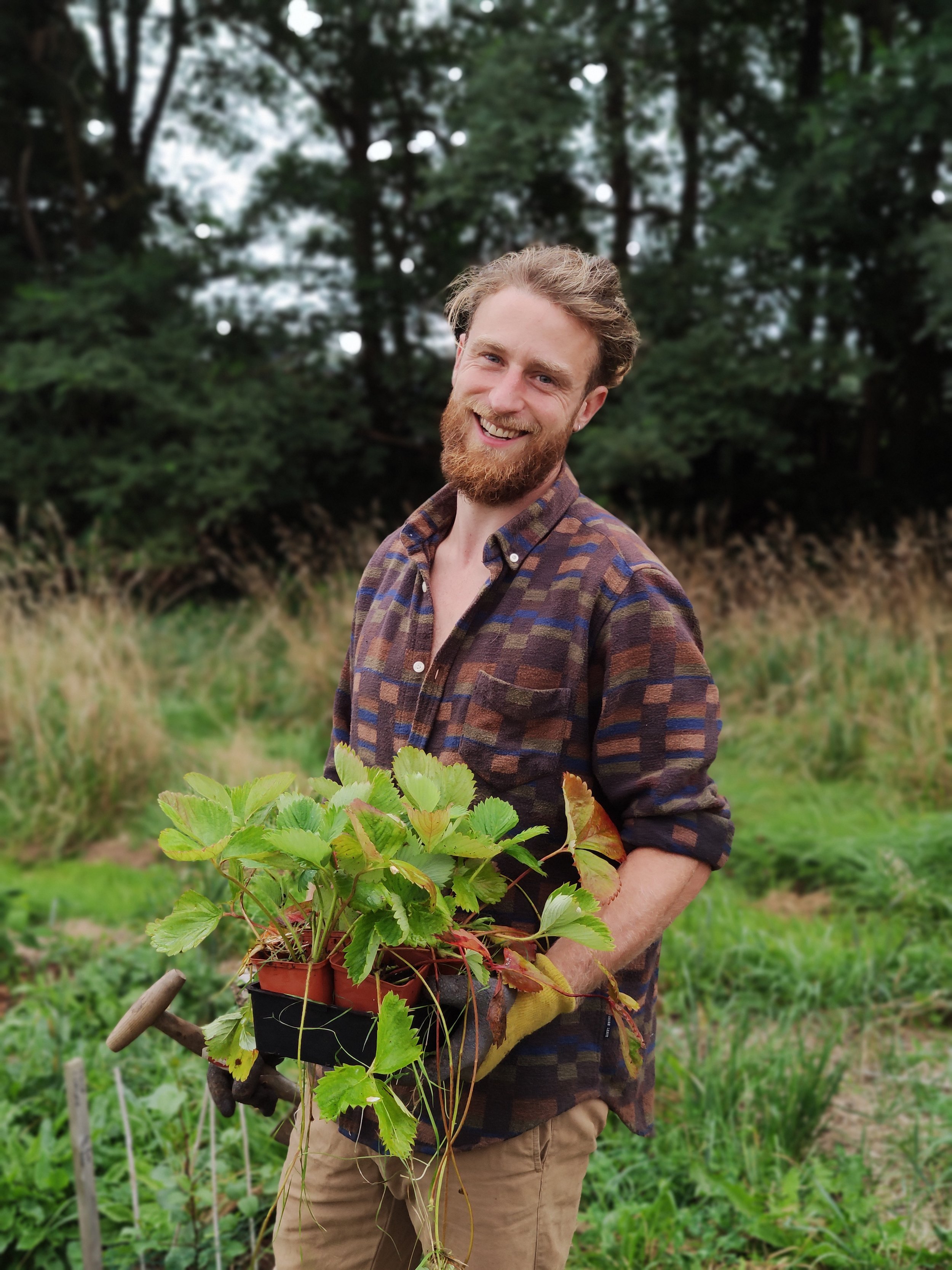 Higher Farm Somerset Castle Cary
