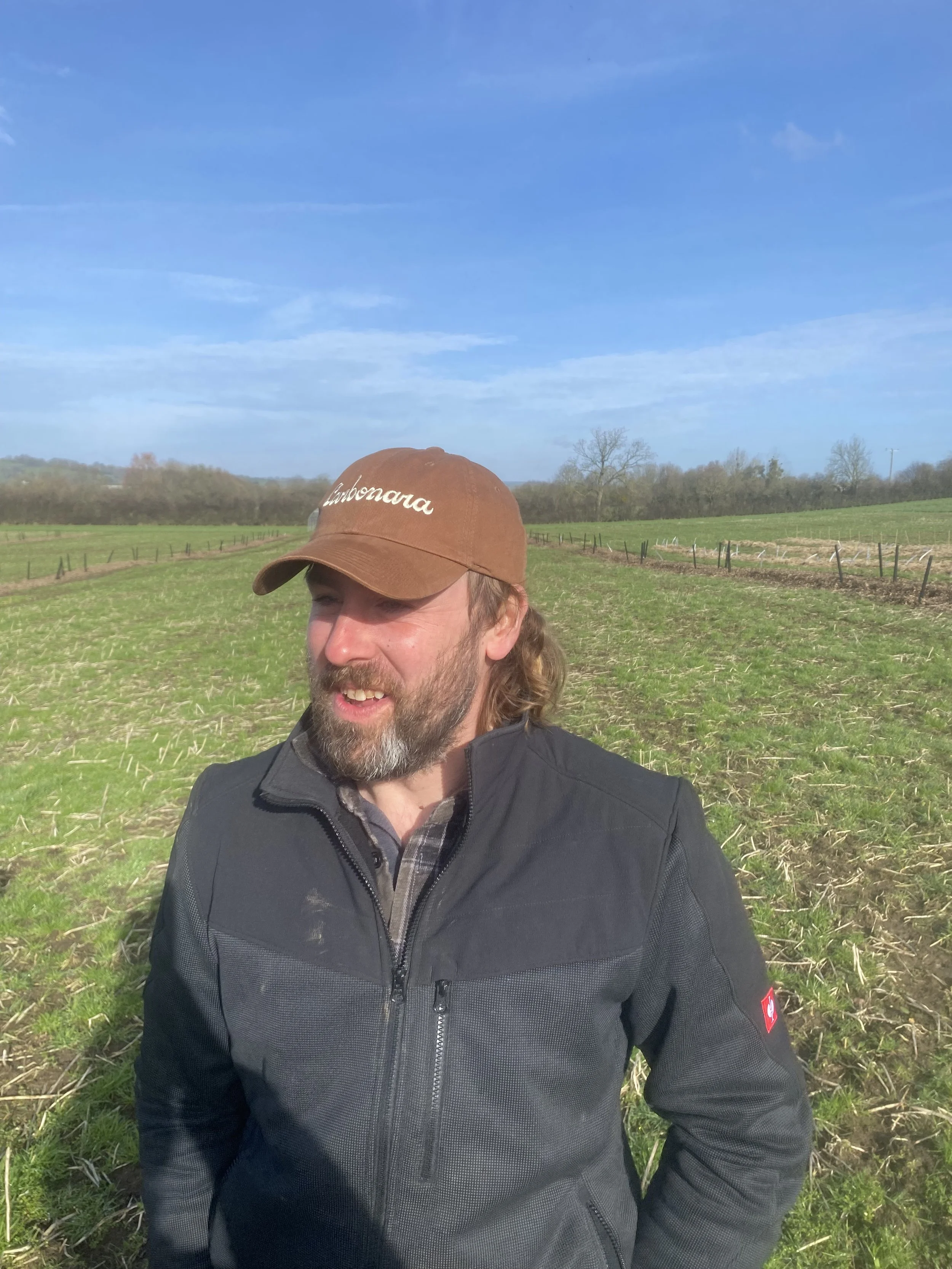 Higher Farm Somerset Castle Cary