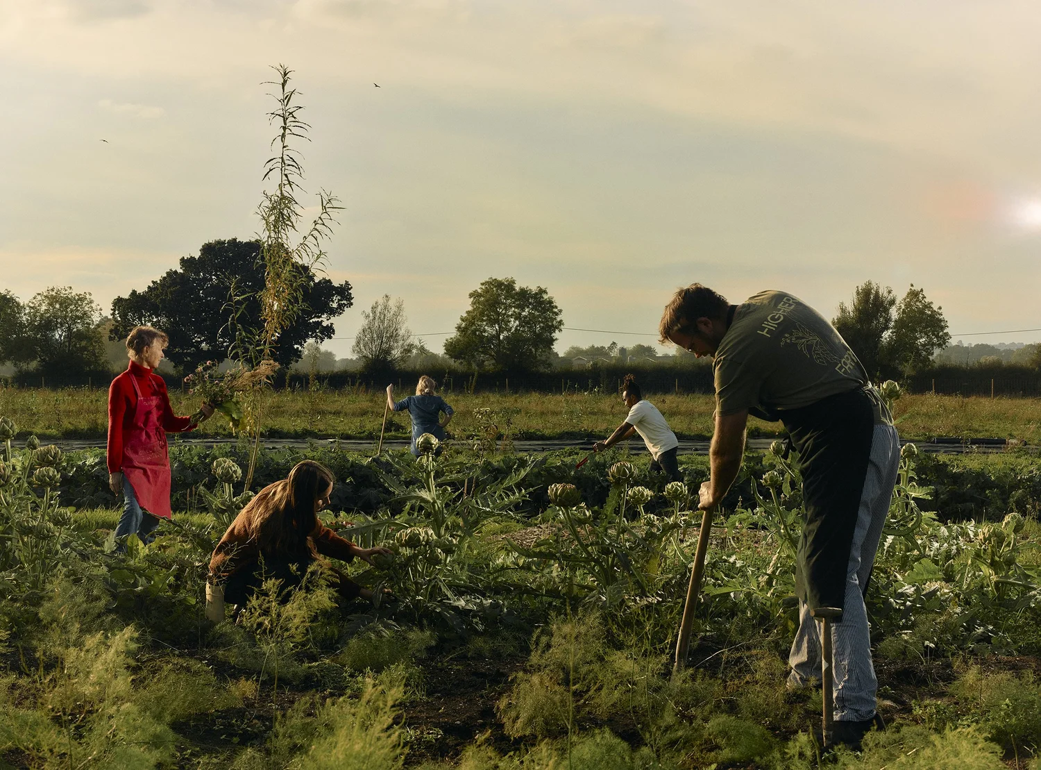 Higher Farm | Regenerative Farm and Restaurant in Somerset