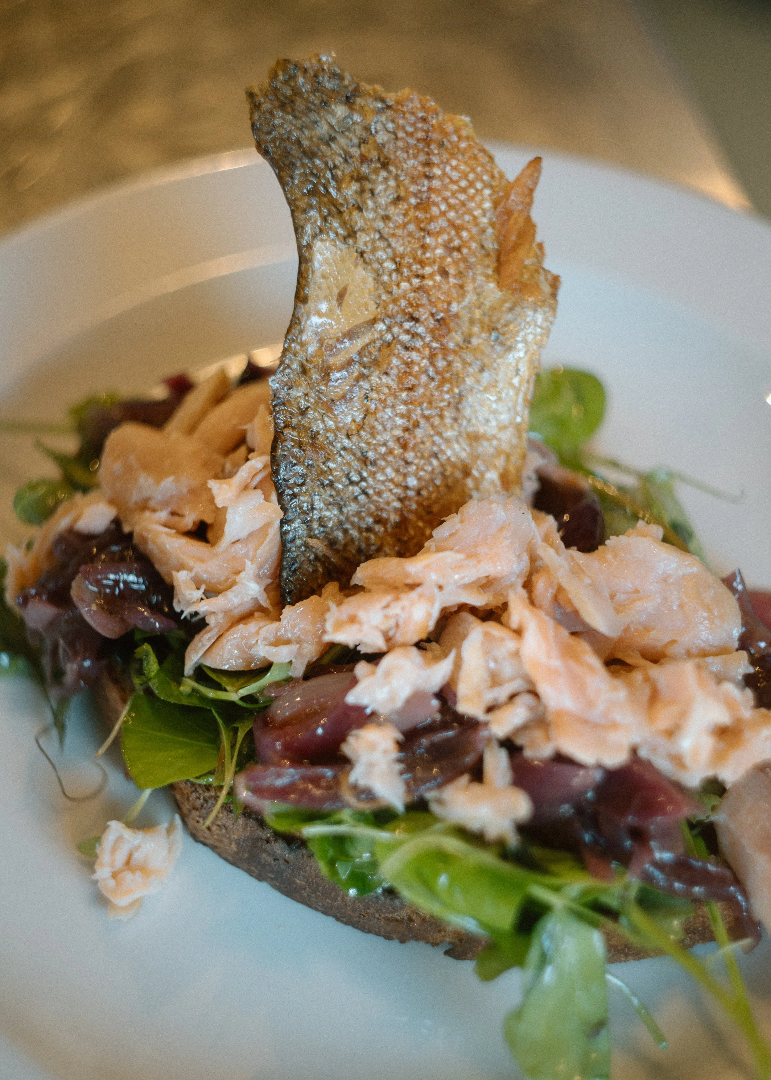 Higher Farm Somerset Castle Cary