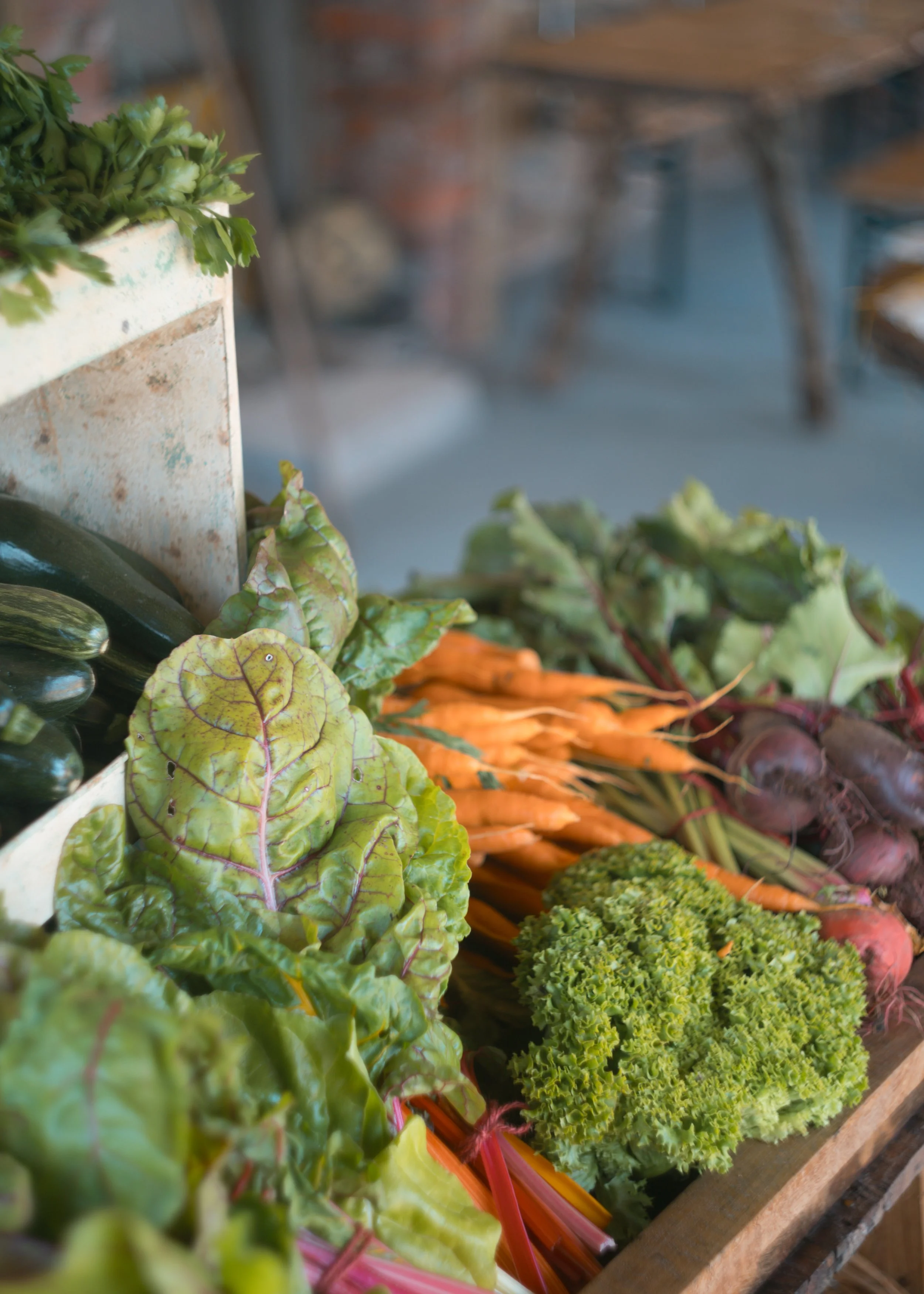 Higher Farm Somerset Castle Cary