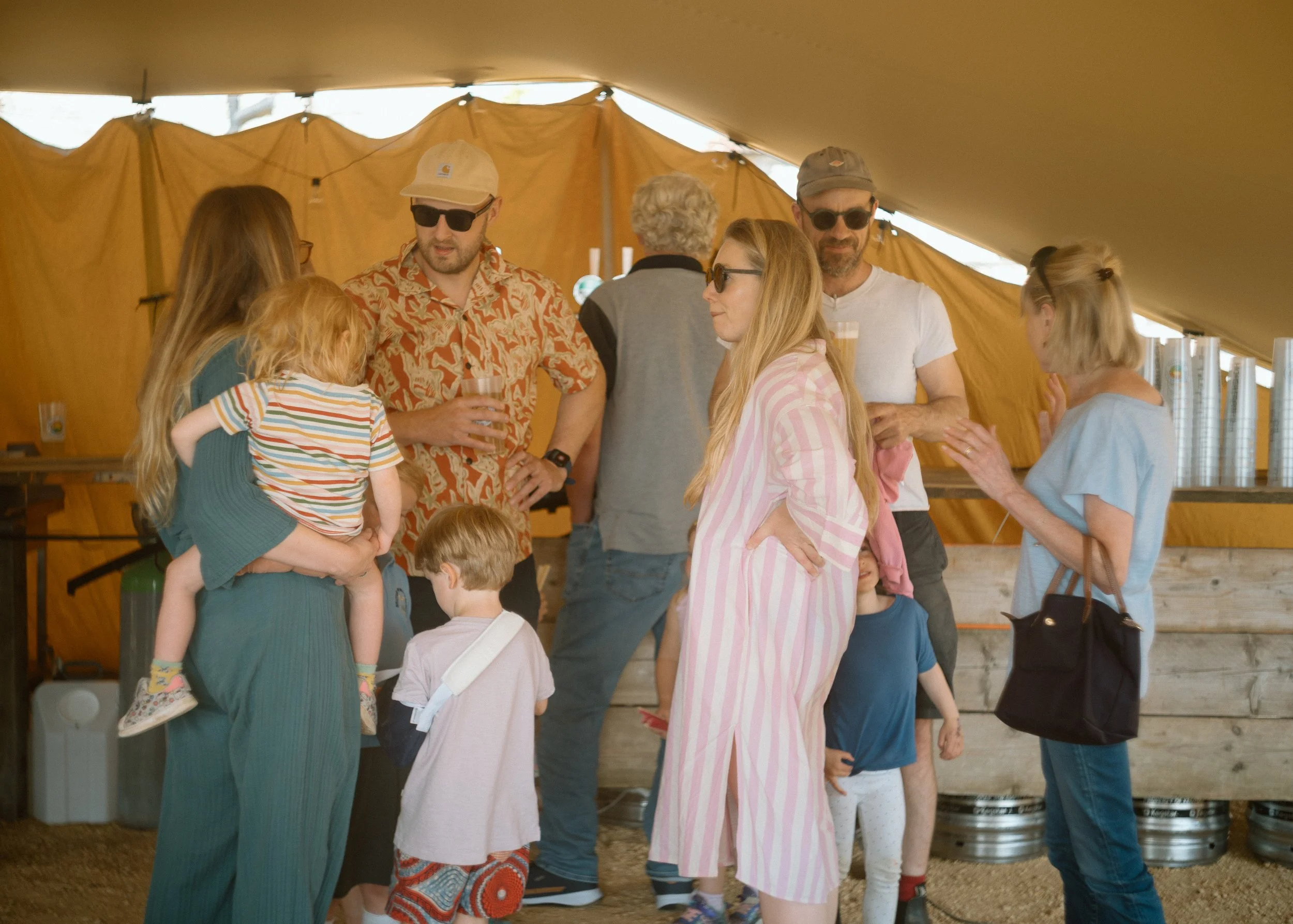 Higher Farm Somerset Castle Cary