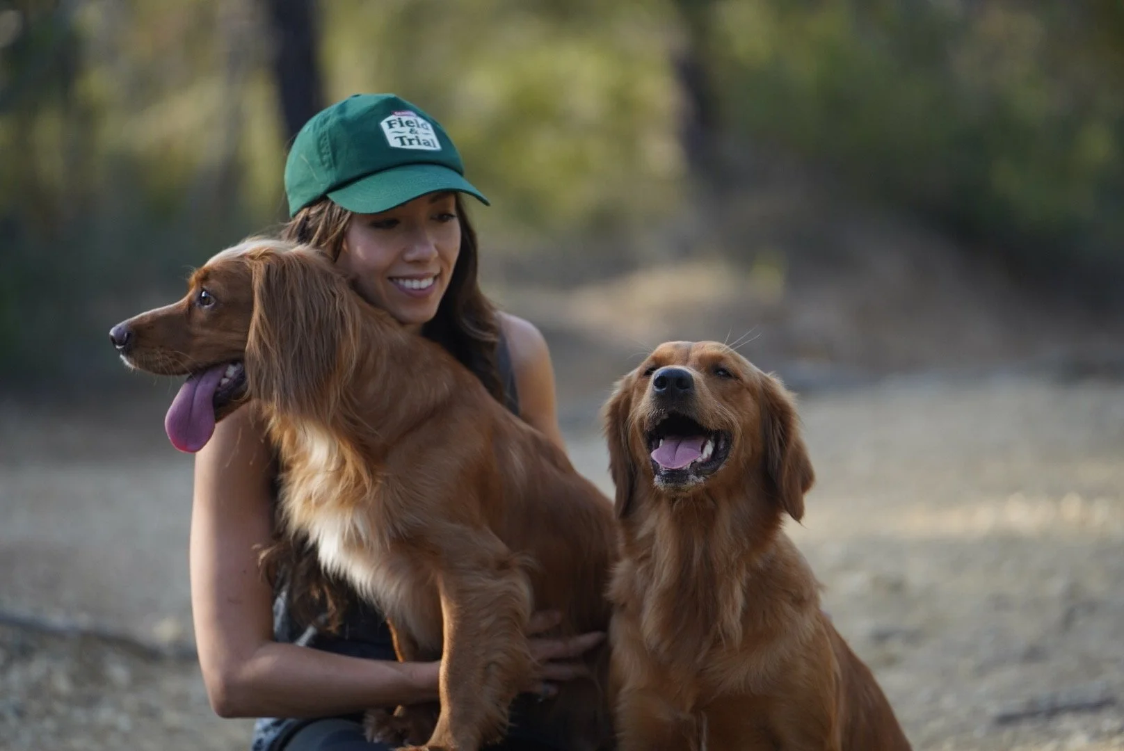 Higher Farm Somerset Castle Cary