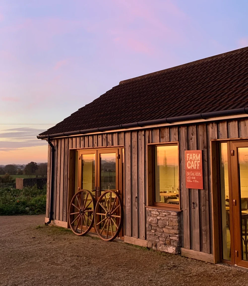 Higher Farm | Regenerative Farm and Restaurant in Somerset
