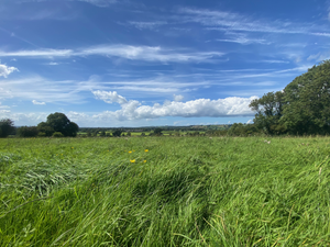 Higher Farm Somerset Castle Cary