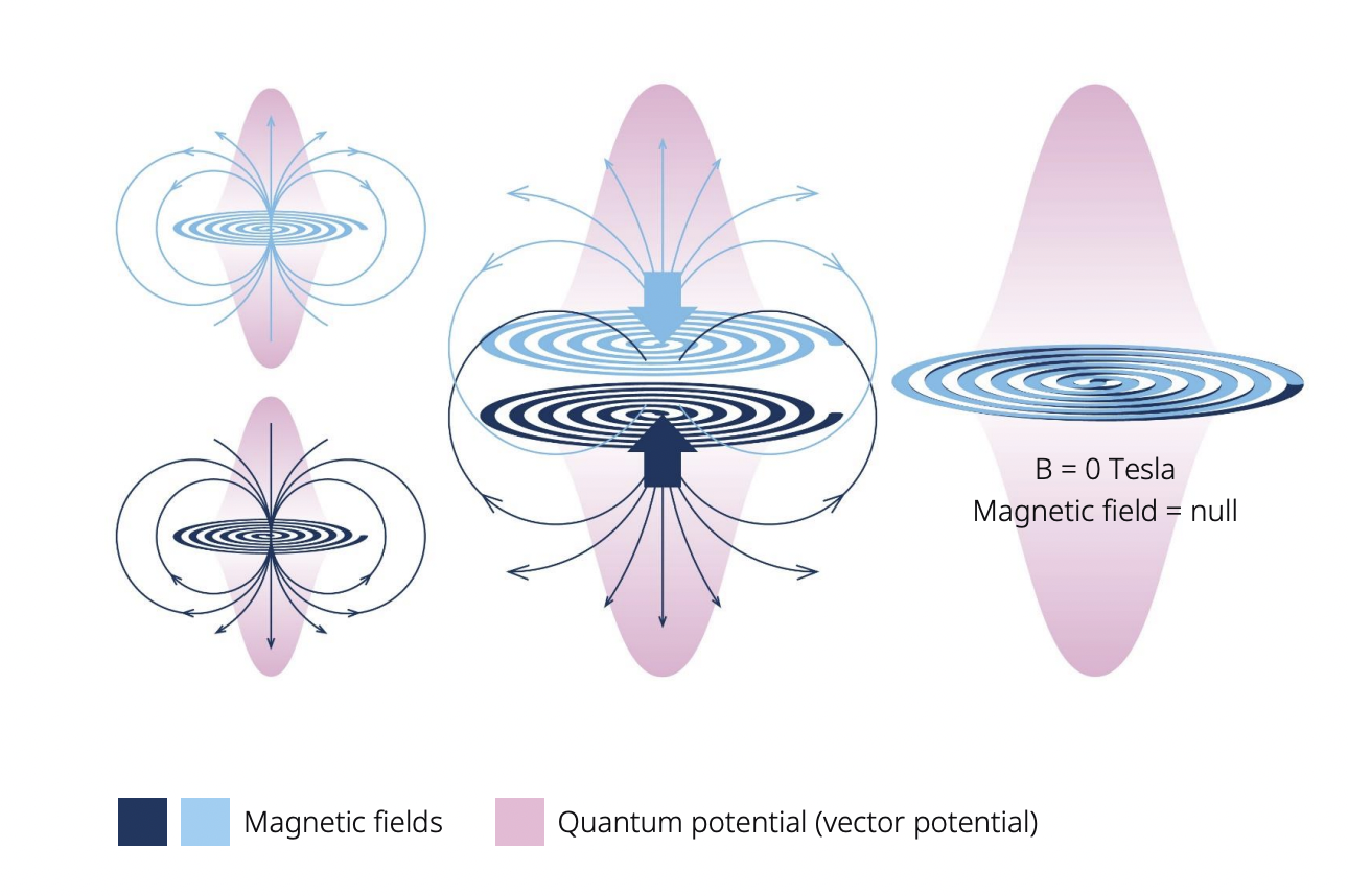 Healy Coil — Our Future is Frequency