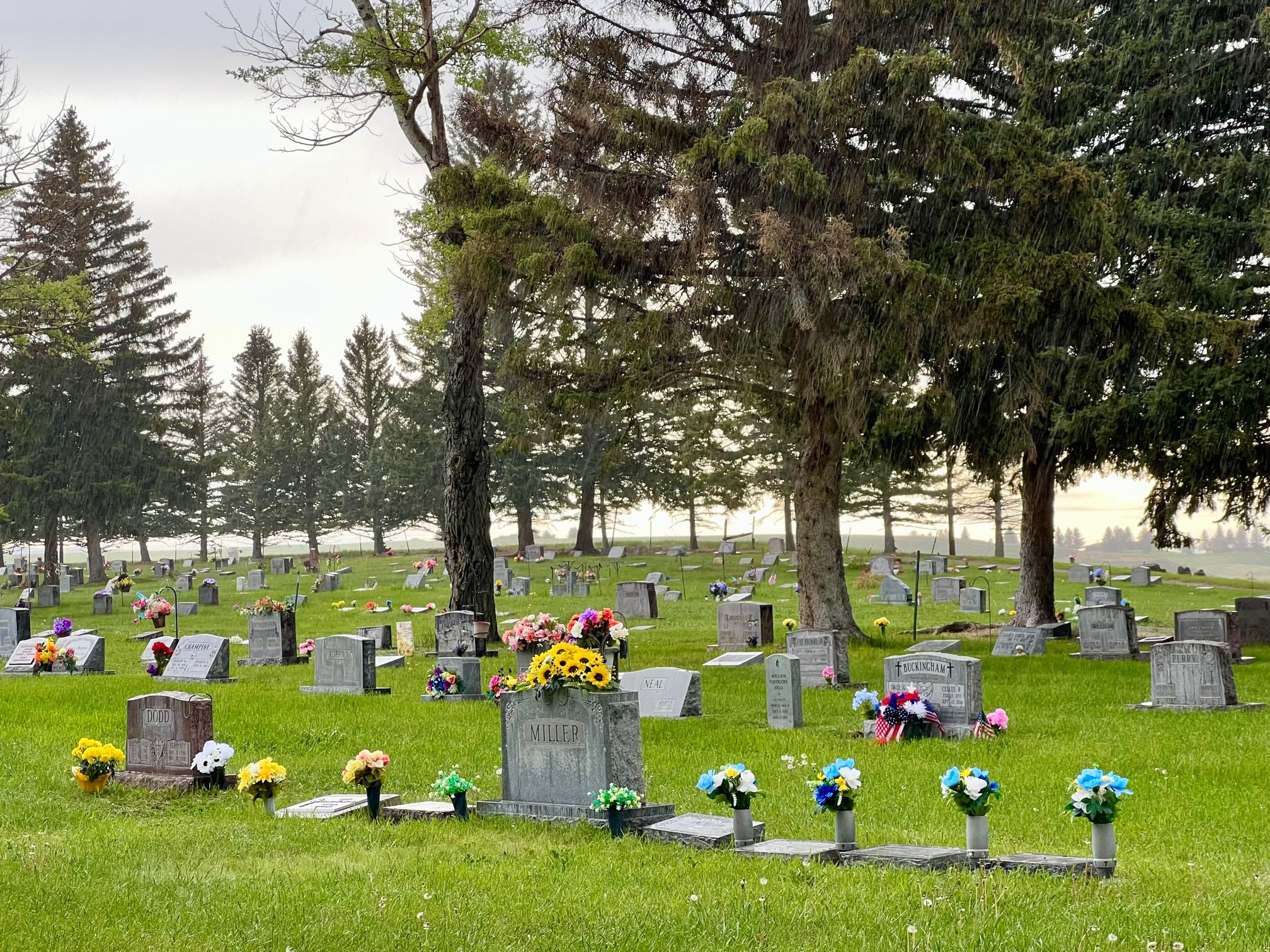 Mountain View Cemetery — City of Dillon