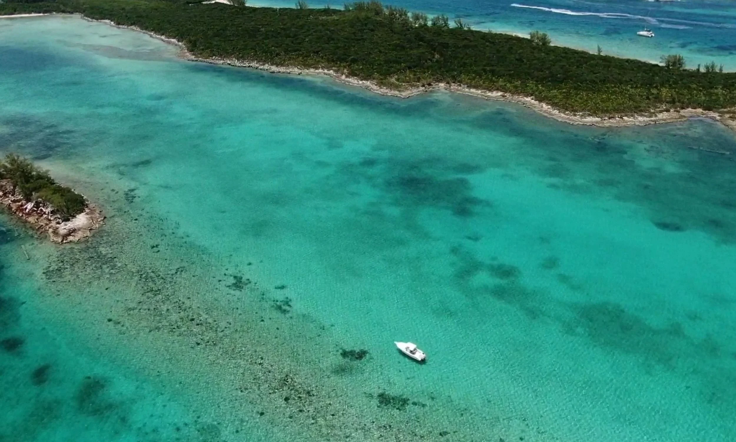 Fishing & Spearfishing Charters | Private Bahamas Adventures — My ...