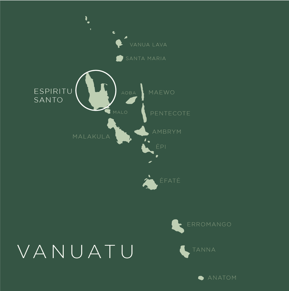 About Us: Our Story — PACIFIKAVA