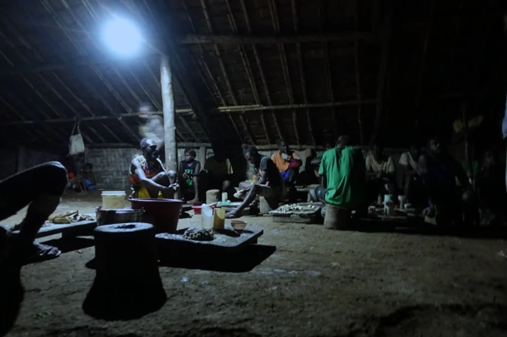 Vanuatu Kava: Navigating Market Challenges — Kava Coalition™