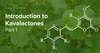 Introduction to Kavalactones: Part 1 — Kava Coalition™