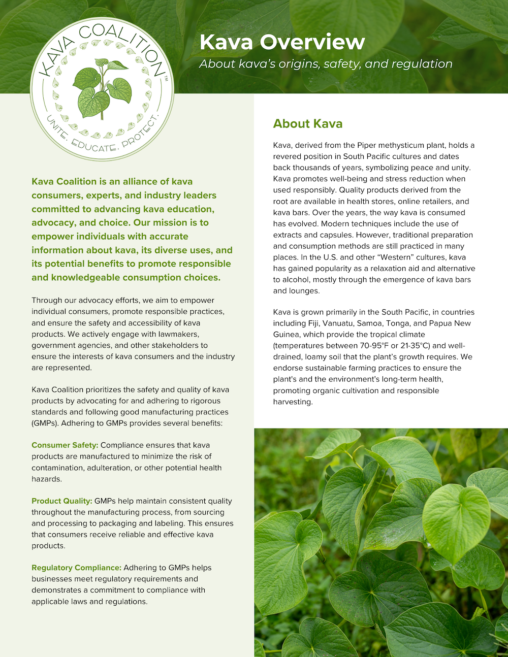 Backgrounders — Kava Coalition™