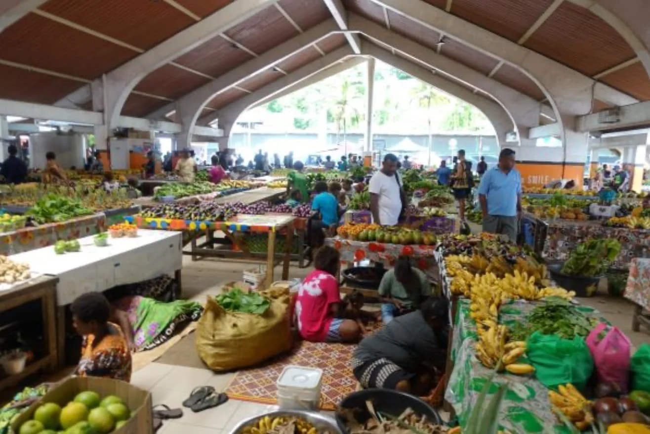 Vanuatu Kava: Navigating Market Challenges — Kava Coalition™