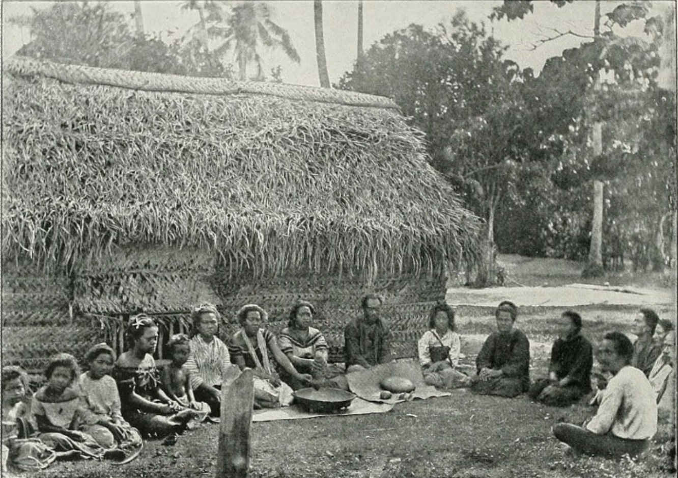 Unveiling the Significance of Kava's History — Kava Coalition™