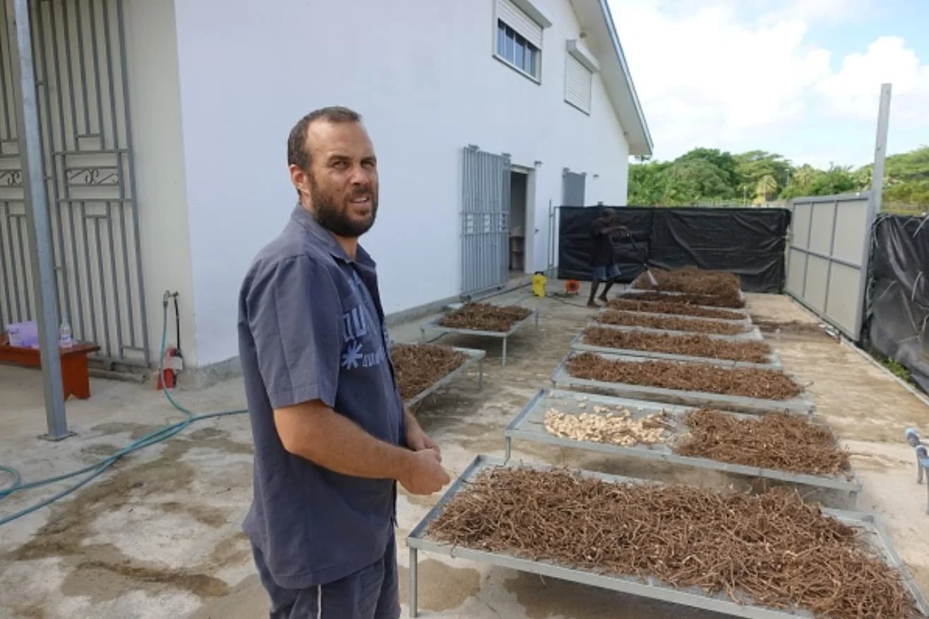 Vanuatu Kava: Navigating Market Challenges — Kava Coalition™