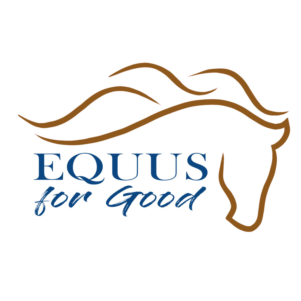 Equus For Good — The Pegasus Project