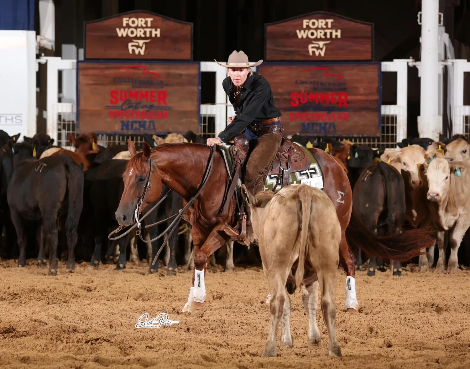 Board of Directors — The Pegasus Project