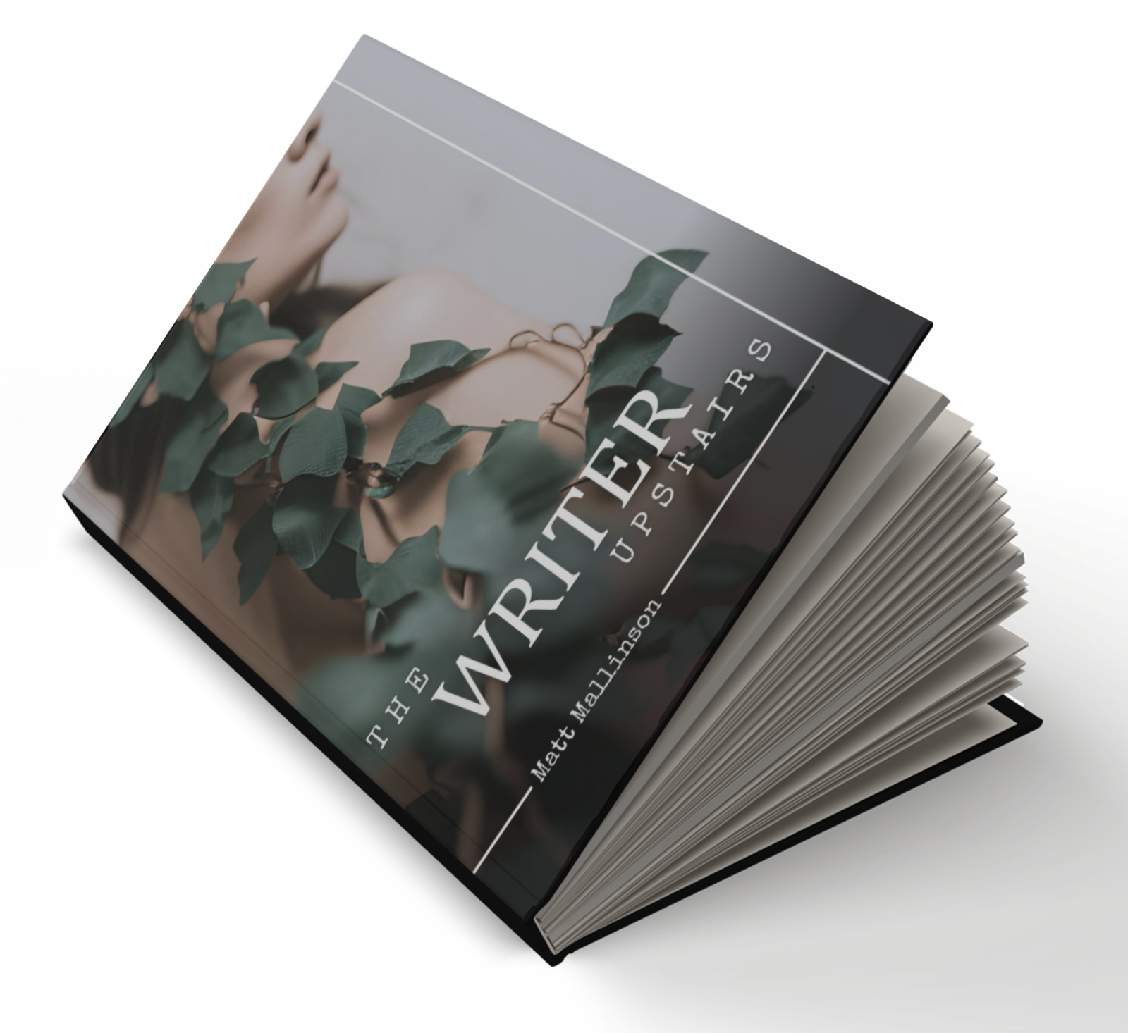 About the Riveting Novel by Matt Mallinson — The Writer Upstairs