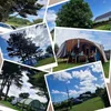Wheal Rodney Holiday Park