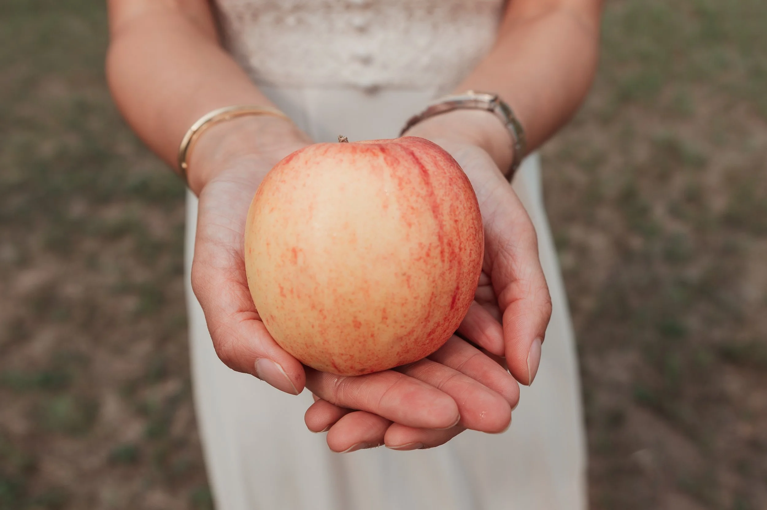 Our Story | Pomme MD