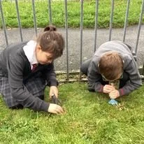 The Big Plant — Westhoughton Town Council