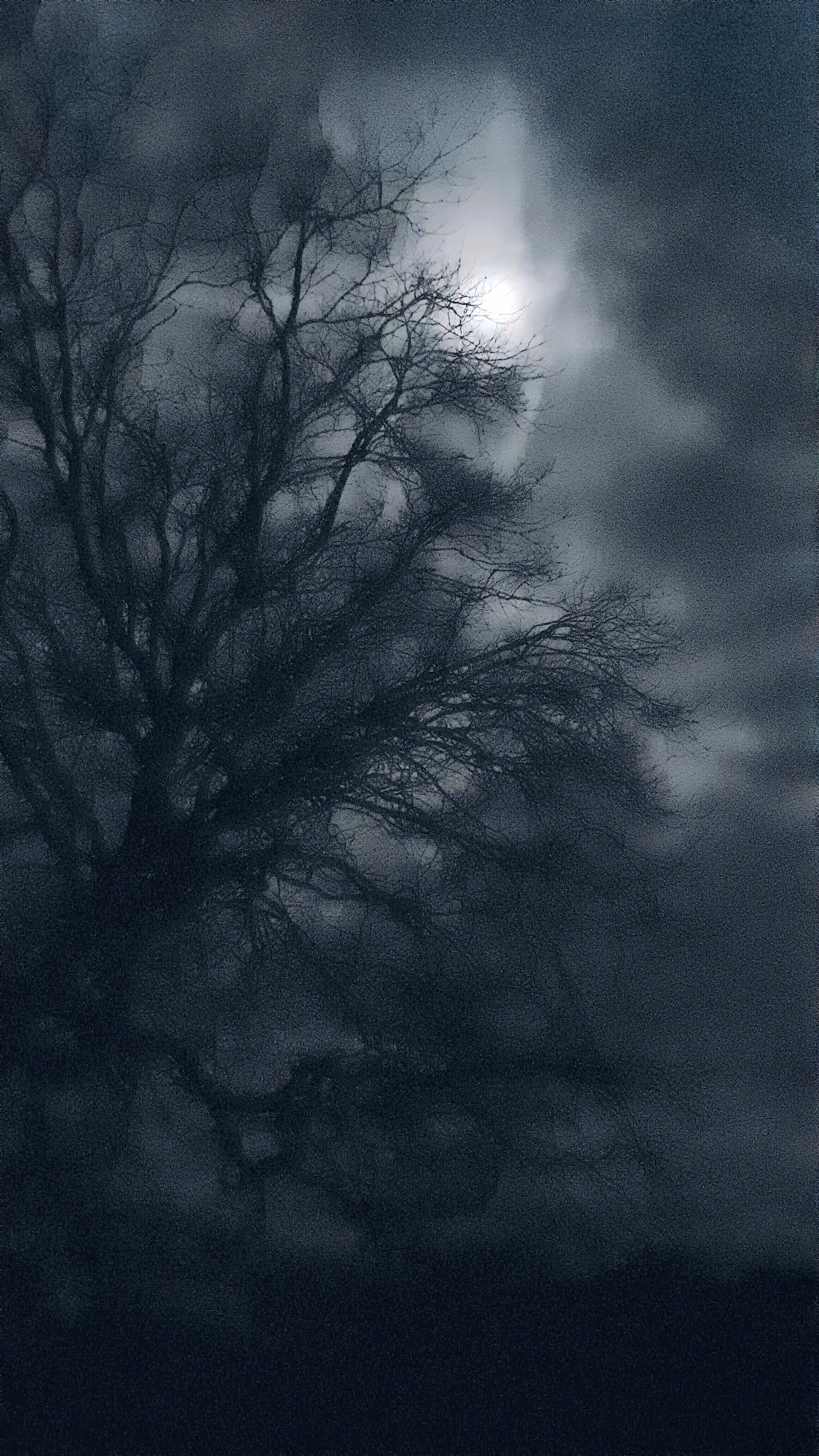 Untouched Weekly Review 11 Jan 2026 — Wadswick Green Residents