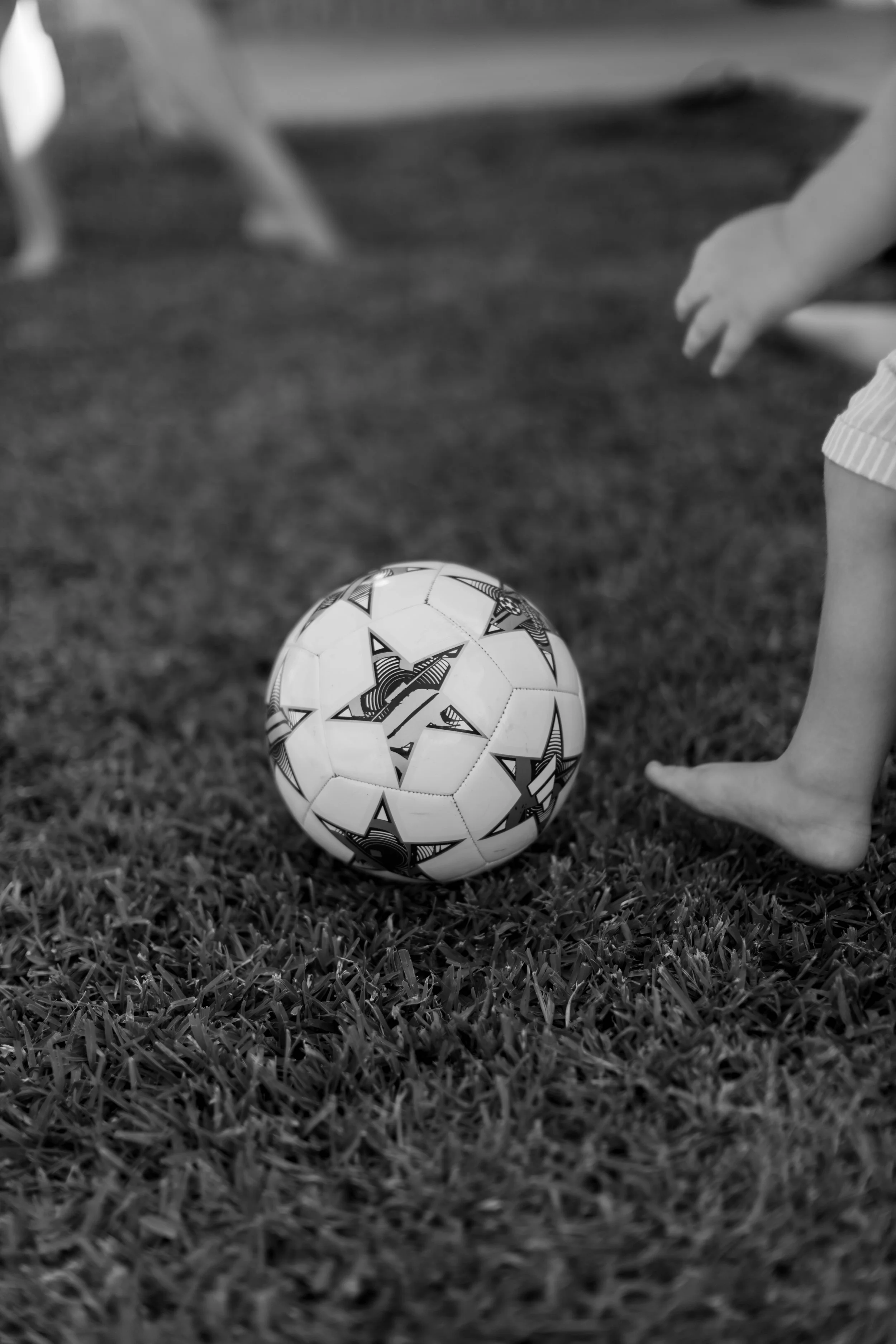 Photos by Rachael Shardlow