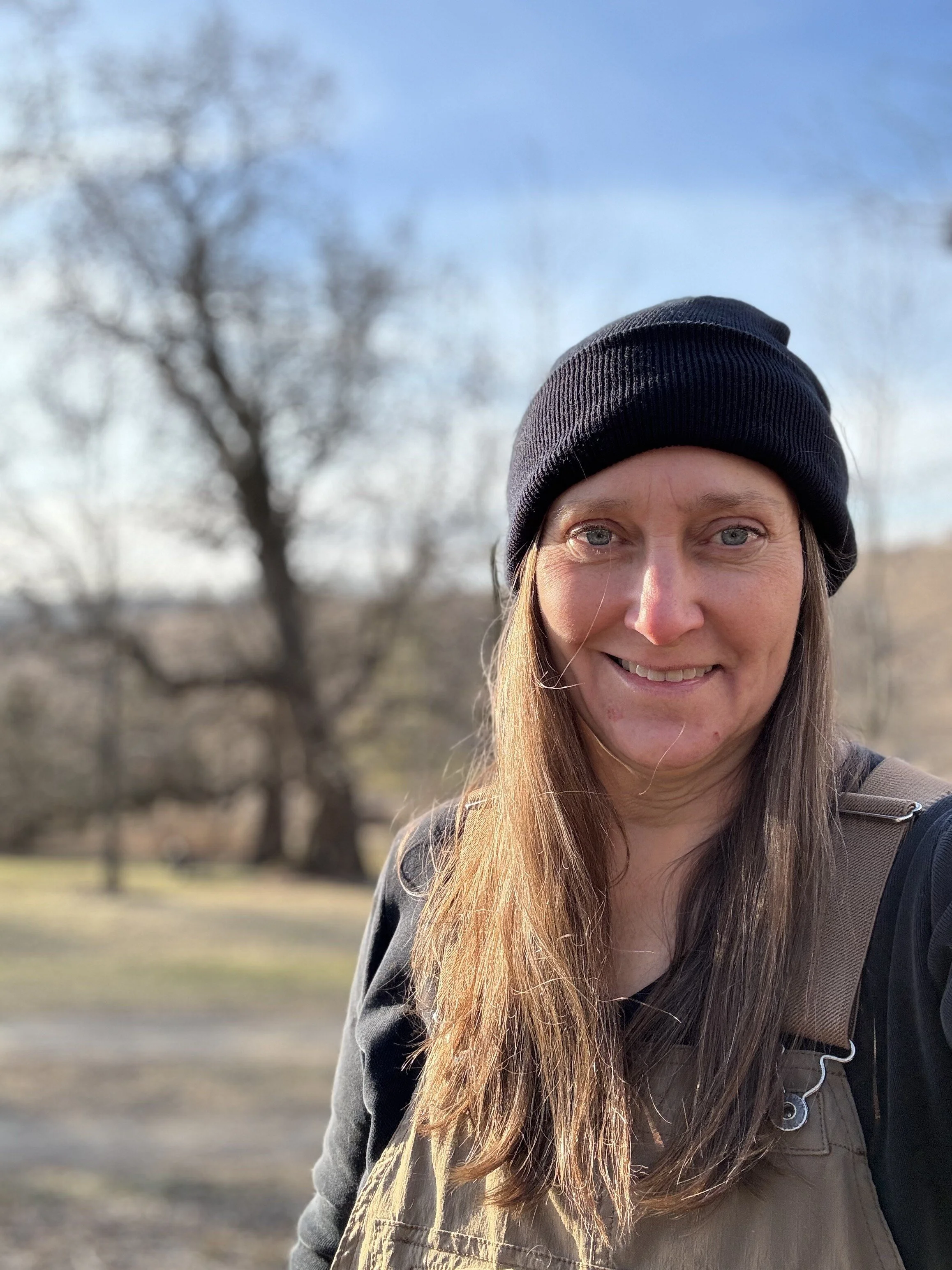 Woollets™ sustainable wool pellets