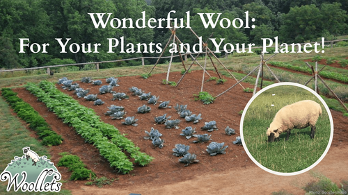 Woollets™ sustainable wool pellets