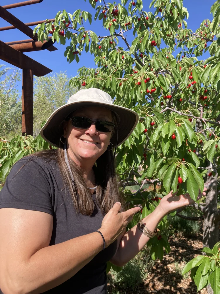 Woollets™ sustainable wool pellets