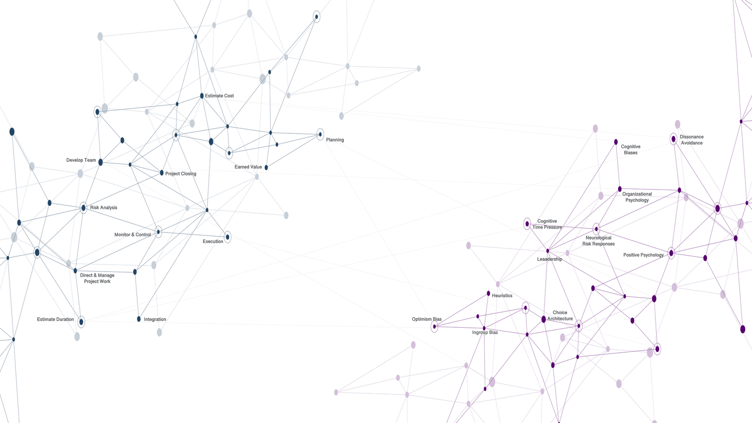 Institute for Neuro & Behavioral Project Management