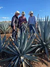 California Agave Growers