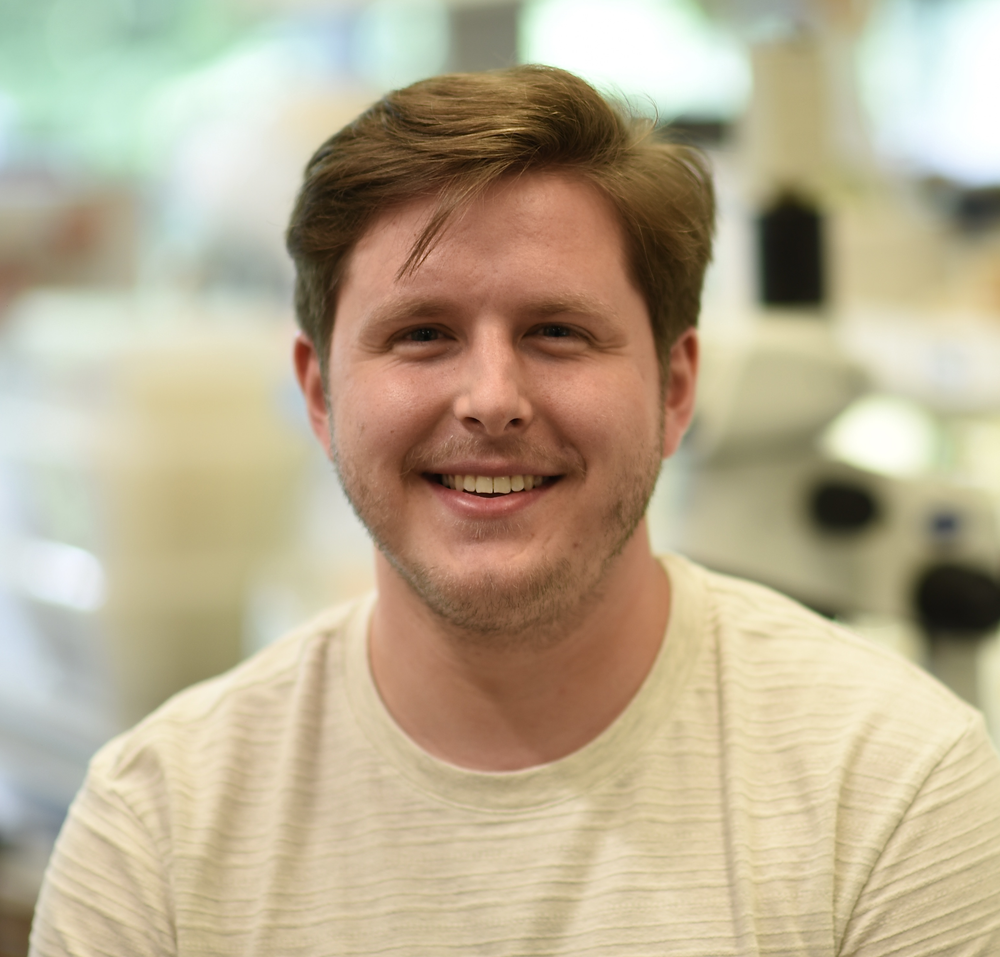 Current — KIM LAB
