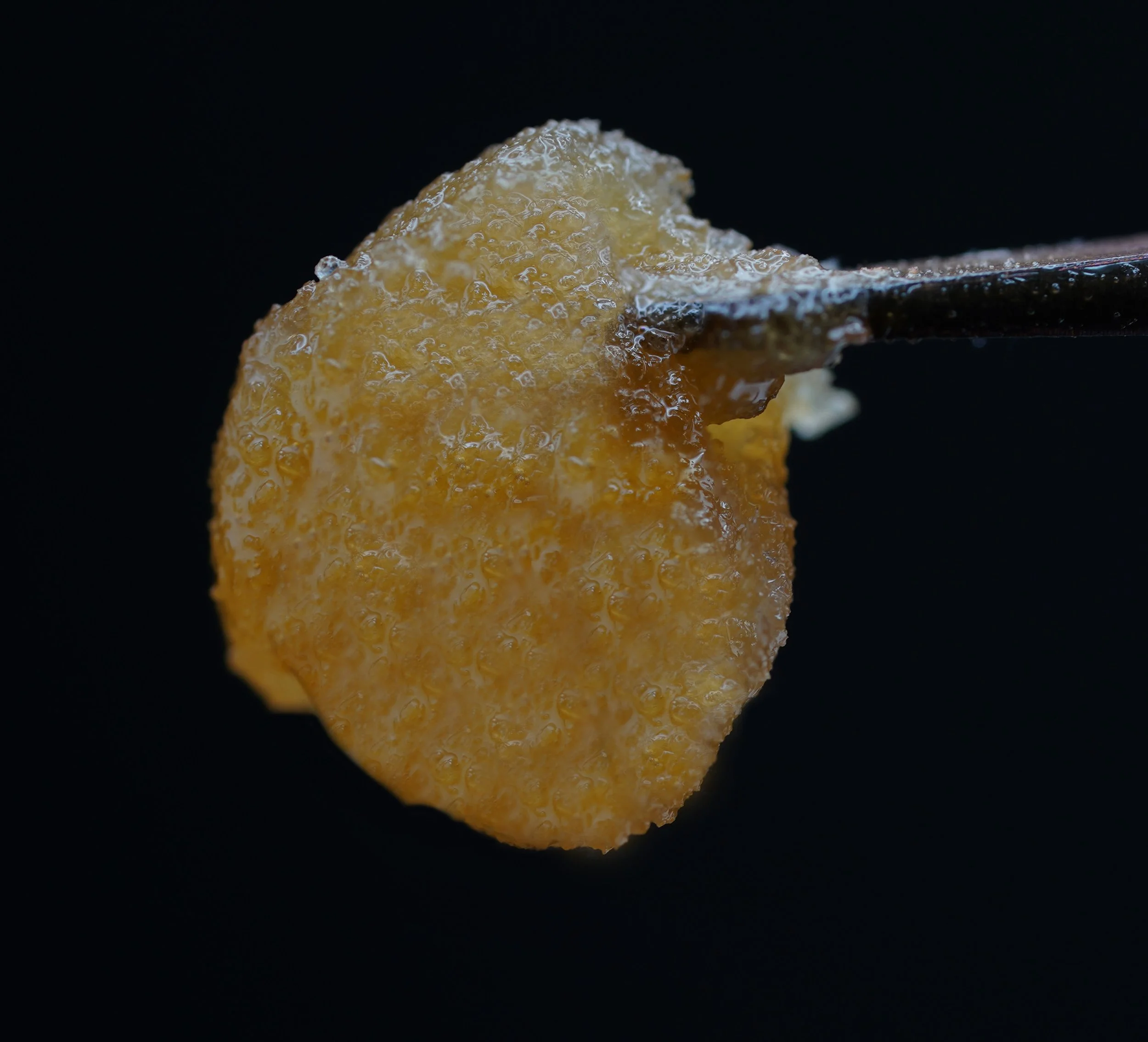 dab diaries — Crispy Commission