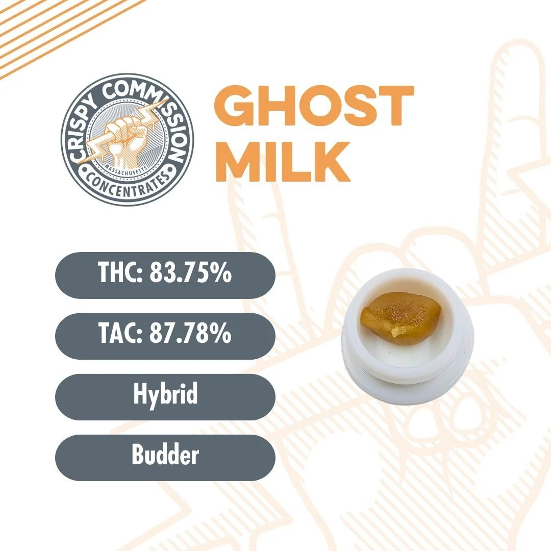 Contact — Crispy Commission