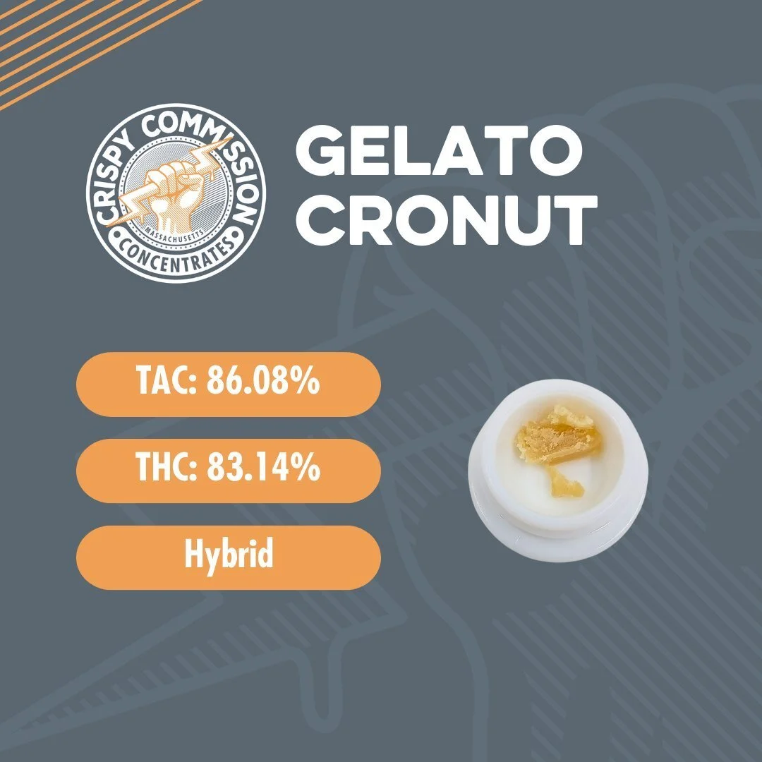 Contact — Crispy Commission